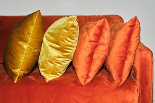 🥔 ¡Descubre las Sorprendentes Diferencias entre Variedades de Batata! 🌟