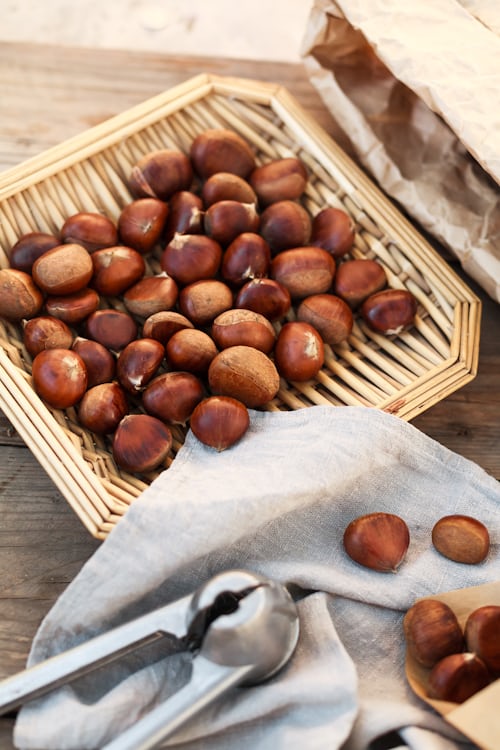 🌳 ¡Descubre los Impactantes Beneficios del Cultivo de Castaño! 🍂