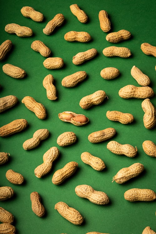 🌱 ¡Descubre los INCREÍBLES beneficios de cultivar cacahuates orgánicos! 🌟