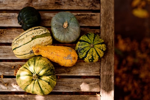 🥇 ¡Ayote vs Calabaza! Descubre sus diferencias nutricionales y ...