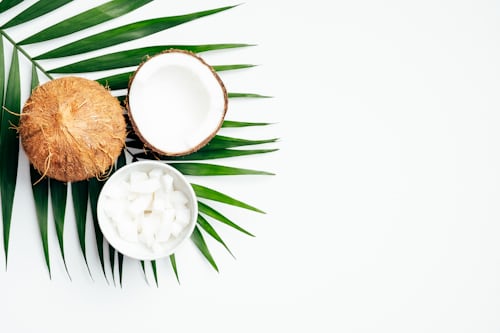 🌴 ¡Aumenta tu Energía al Máximo con Coco Germinado! 🍃☀️ ¡Descubre Cómo!