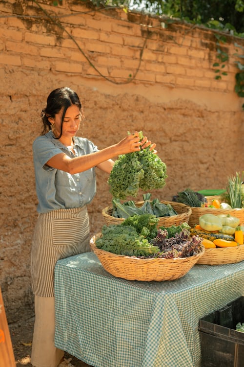 🌱 ¡Descubre las Mejores Asociaciones y Cooperativas para Cultivar Jícama! 🚜