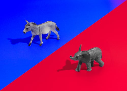 🐾 ¡Increíble! Animales que le temen al color rojo 🟥 Descubre por qué!