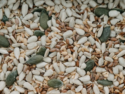 🌊 ¡Descubre la Verdad! Artículos Reveladores sobre Semillas Flotantes 🌱