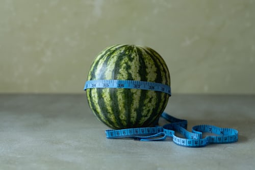 🌱 ¡Descubre los 5 Artículos Clave para Cultivar Melones Rápido! 🍈