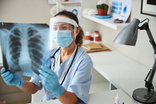 🦴 ¡Descubre cómo los brotes fortalecen tu salud ósea! 🌱