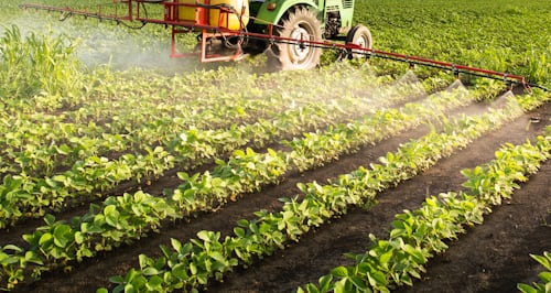 🌱 ¡Descubre las Mejores Alternativas a los Pesticidas en Remolacha! 🚜