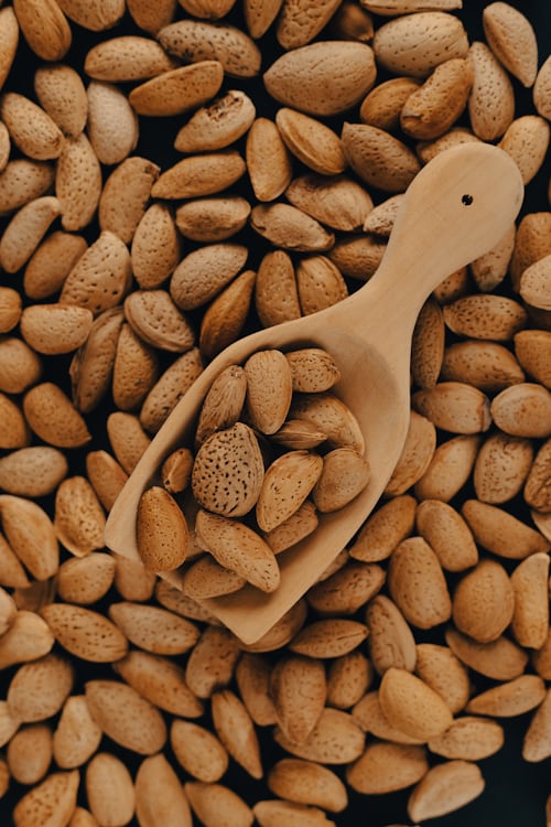 🌰 ¡Descubre cómo se arrancan los cacahuetes! ¿A mano o máquina? 🤔