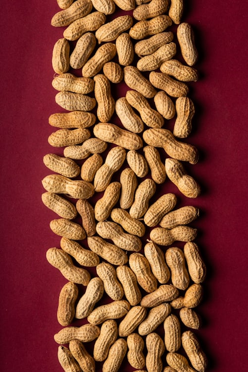 🥜 Descubre los Sorprendentes Usos de los Cacahuetes en Medicina ...