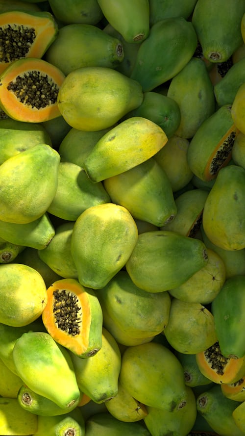 🌱 ¡Descubre las Mejores Alternativas de Cultivo Intercalado con Yaca! 🍈