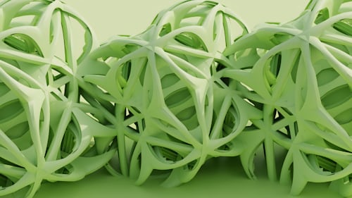 ¡Aumenta tu Libido Naturalmente! 🌱 Brotes de Fenogreco Revelados 🔥