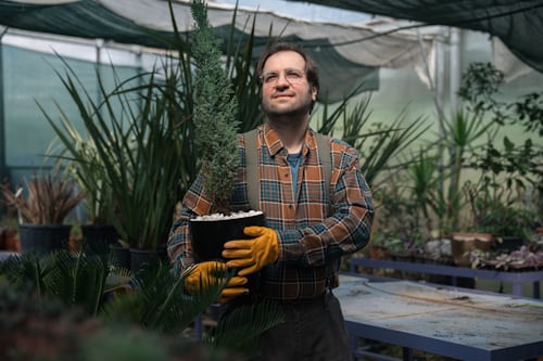 🌿 ¡Descubre los Increíbles Beneficios Ecológicos de Cultivar Ixora ...