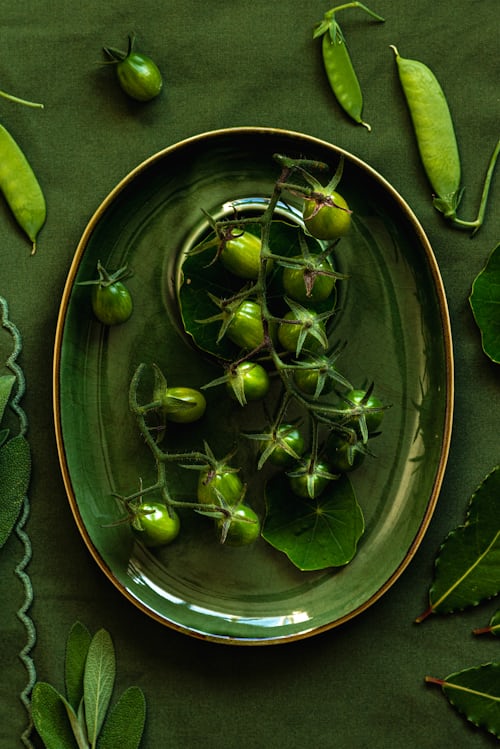 🥗 ¡Descubre los Beneficios de los Brotes de Chía en Bandeja! 🌱