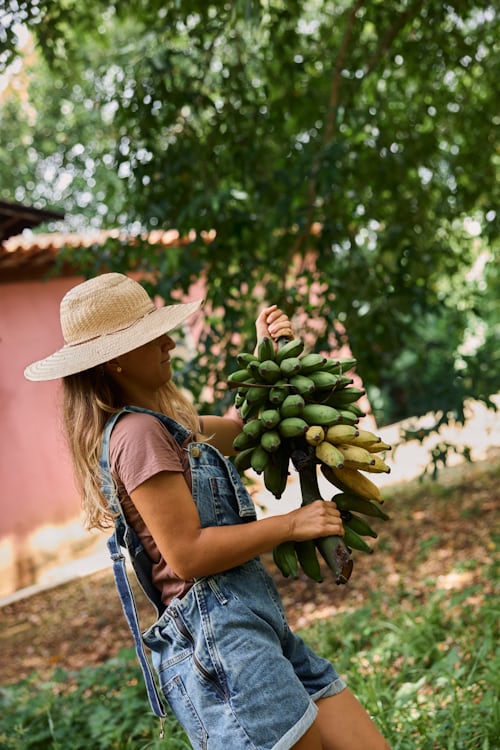 ¡Descubre los Asombrosos Beneficios del Ocote en Colombia! 🌿🔥