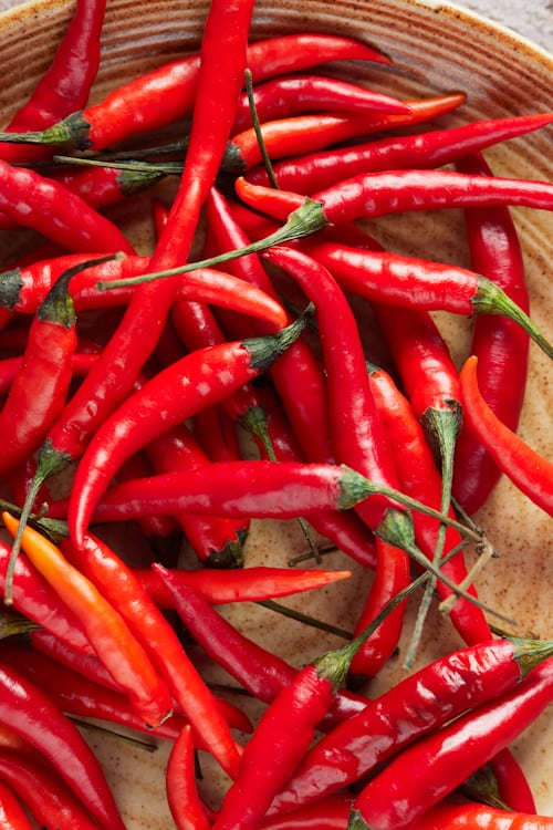 🌶️ ¡Descubre los Sorprendentes Beneficios de Recoger Guindillas Perfectas!