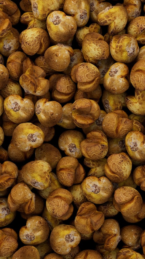 🌍 ¡Descubre los Sorprendentes Beneficios de los Piñones por su Origen! 🌰