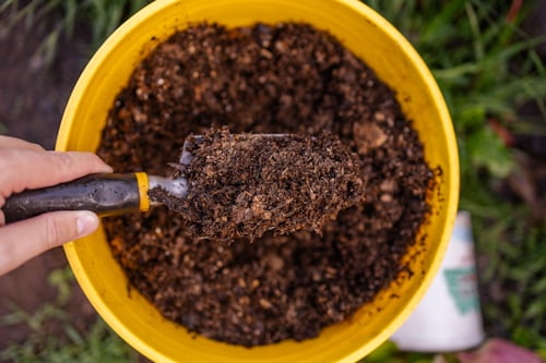 🌱 ¡Descubre los Mejores Consejos de Riego para Germinar Semillas! 💧