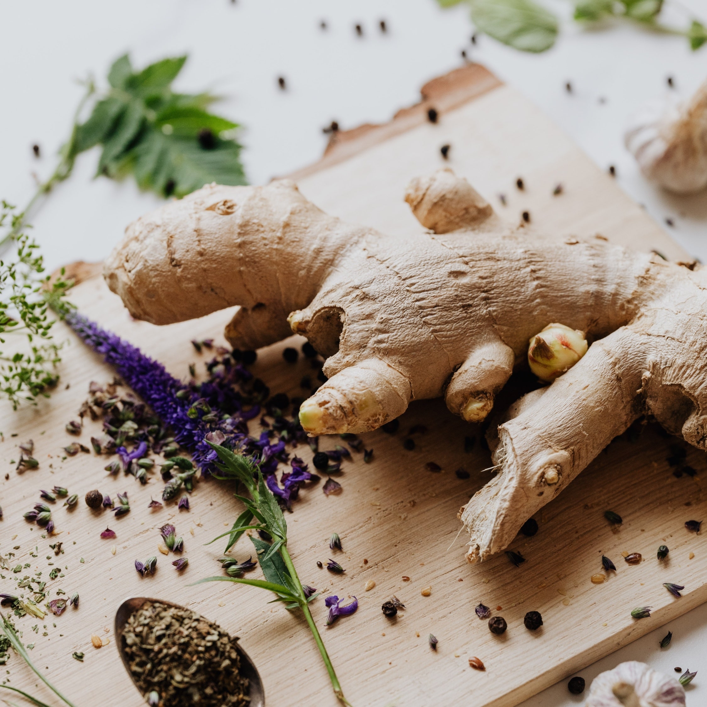 ¡Abono de Jengibre: Suelo FERTILÍSIMO ! 🌱