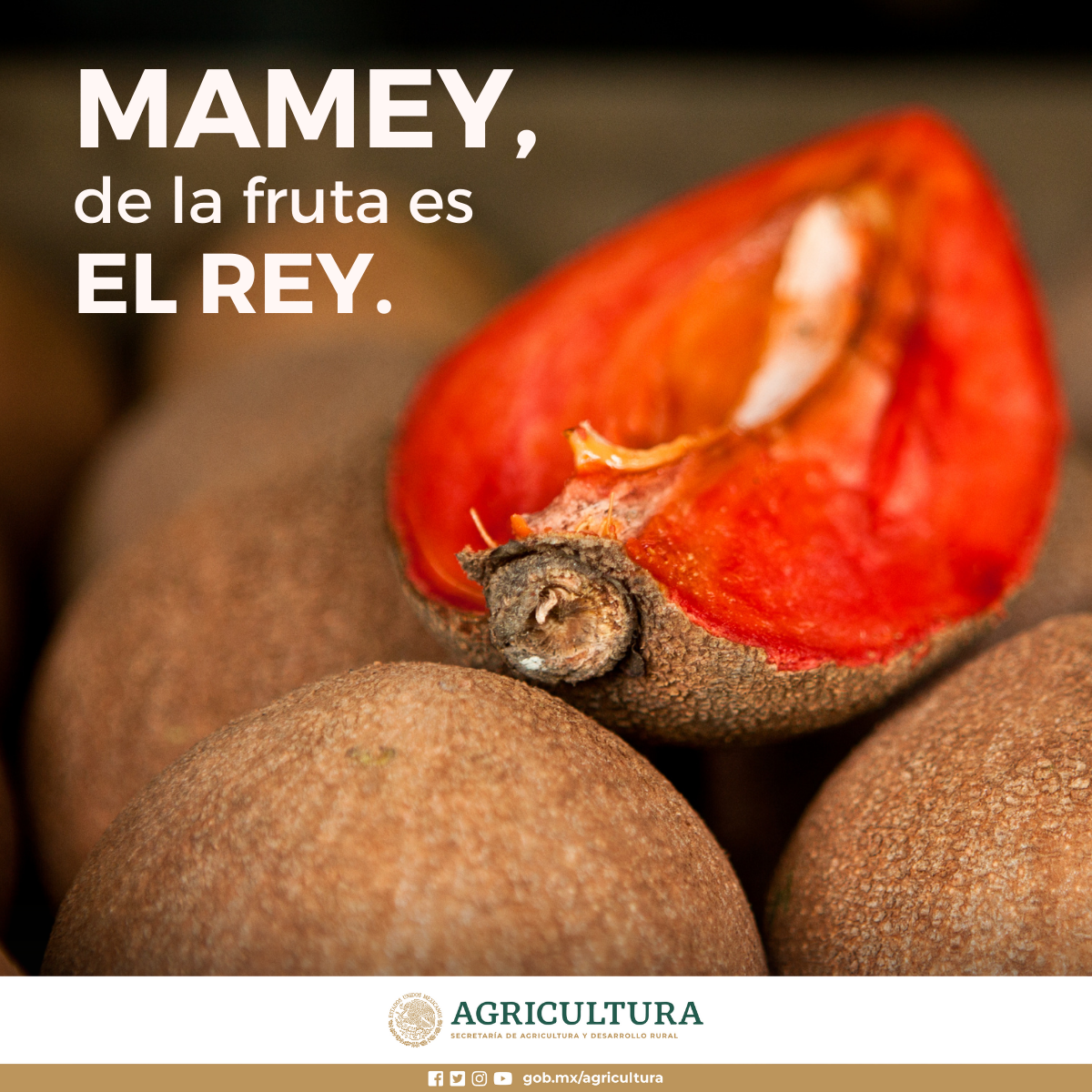 ¡Descubre el SECRETO del Mamey! 🥭 Sabor & Recetas 🤫
