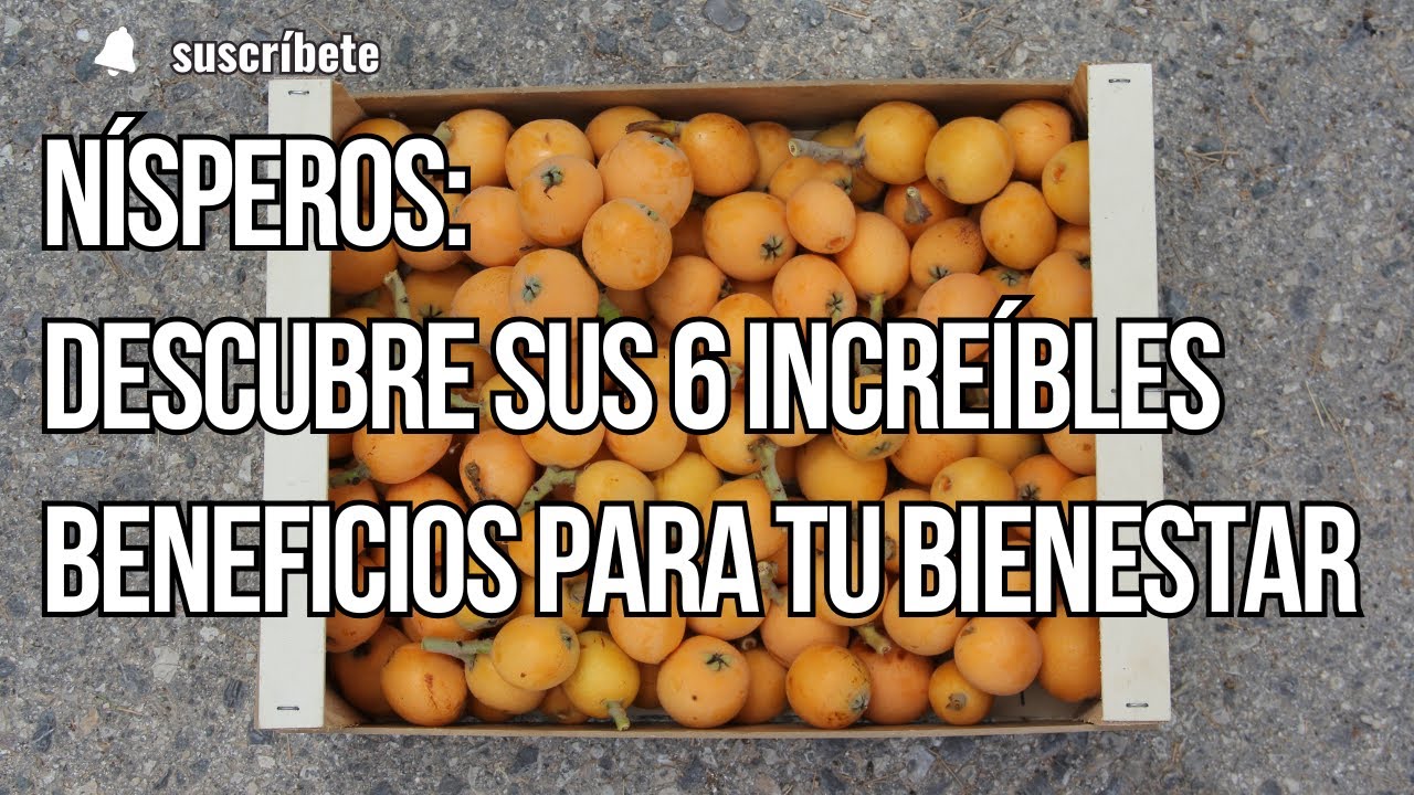 ¡Descubre los Increíbles Beneficios de Desgranar Nísperos en Casa! 🍑