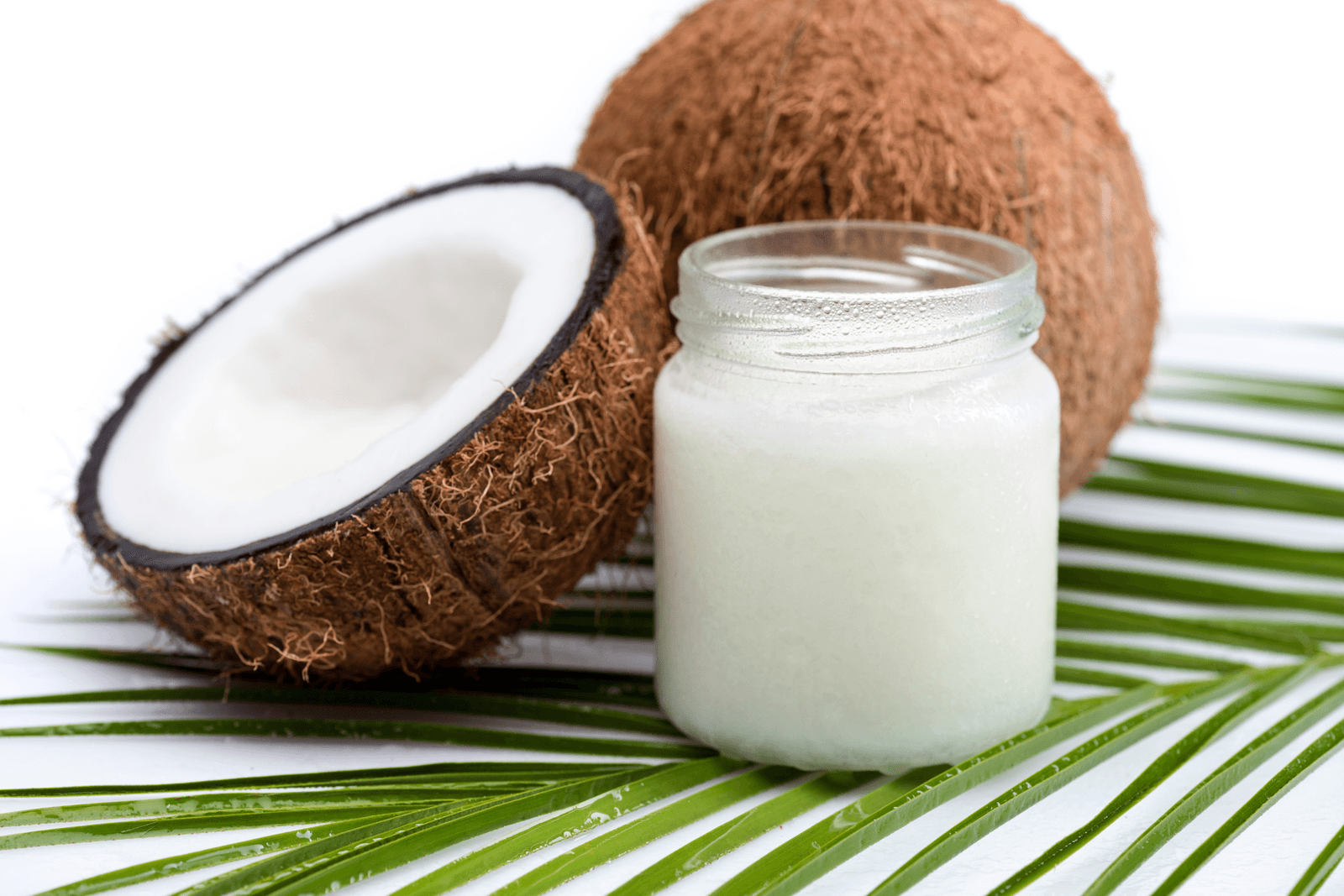 Descubre cómo el Coco Germinado y Cristales Atraen la Buena Fortuna 🍀