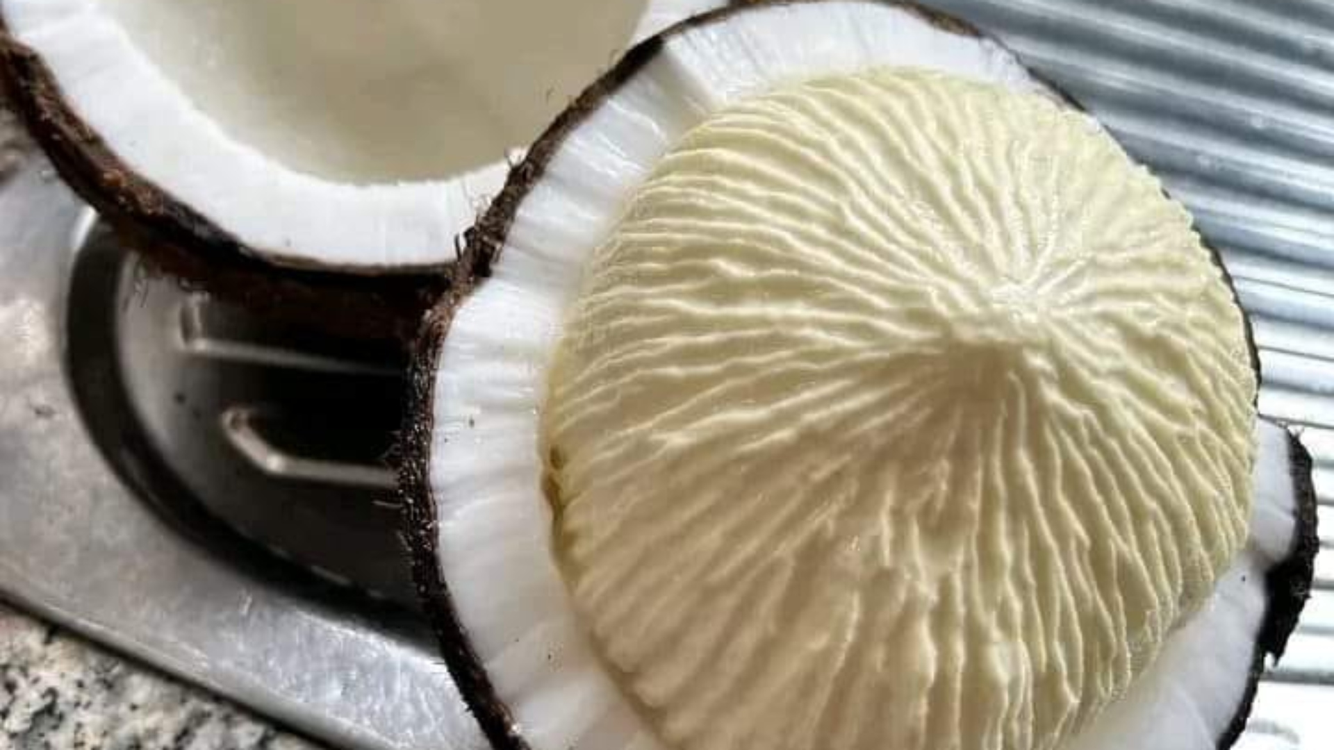 ¡Descubre las Sorprendentes Propiedades del Coco Germinado! 🥥💚