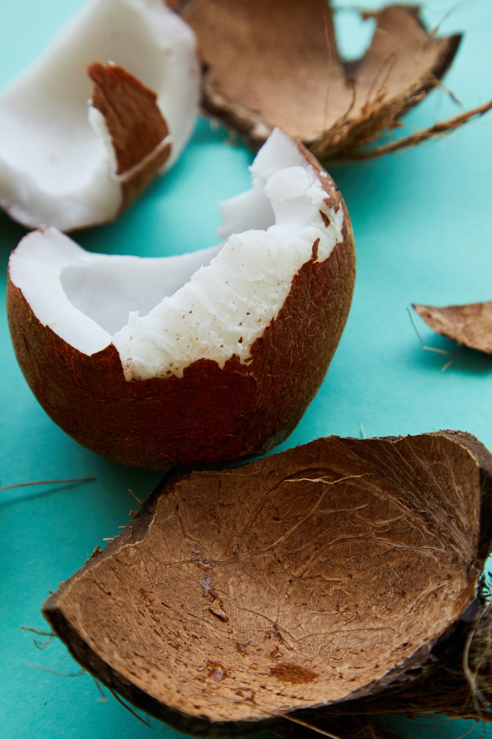 🌊 ¡Descubre el Secreto del Coco Marrón en la Cocina Mediterránea! 🍽️🌿