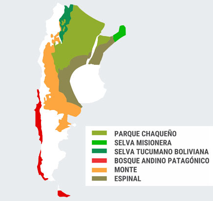 🌍 ¡Descubre el Mapa de Distribución del Algarrobo! 📍 ¡Increíbles ...