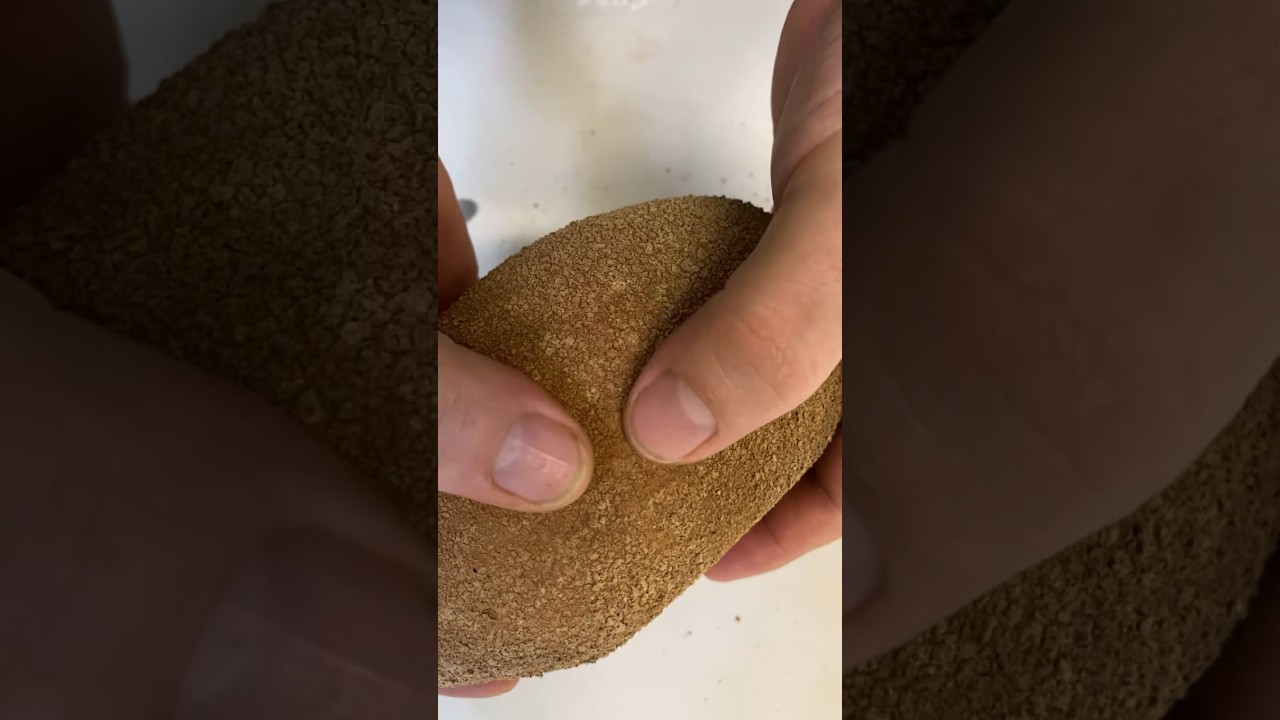 🌟 ¡Descubre a qué edad está listo el mamey! 🍈 Sorprendentes secretos 😉