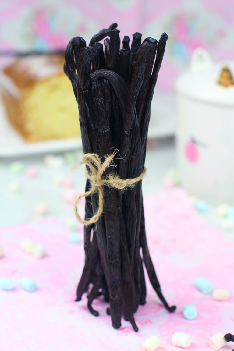 🌟 ¡Descubre Cómo Cocinar con Vainas de Vainilla y Sabores Irresistibles! 🍮