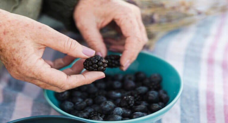 🌟 ¡Descubre cómo comer moras al día transforma tu piel! 🍇