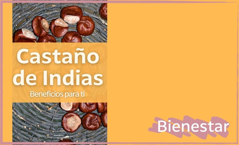 🌟 ¡Descubre el Castaño de Indias! 🌿 Beneficios asombrosos para tu piel