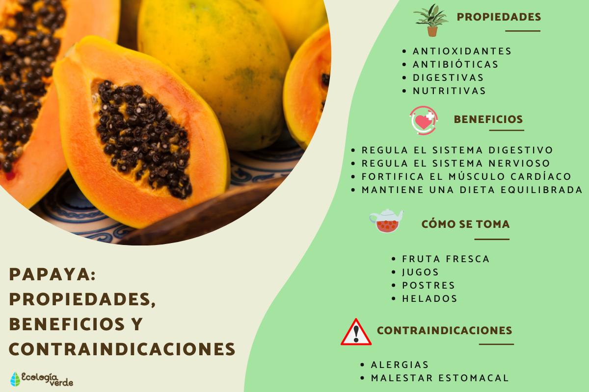 🌟 ¡Descubre las Sorprendentes Características de la Pulpa de Papaya ...