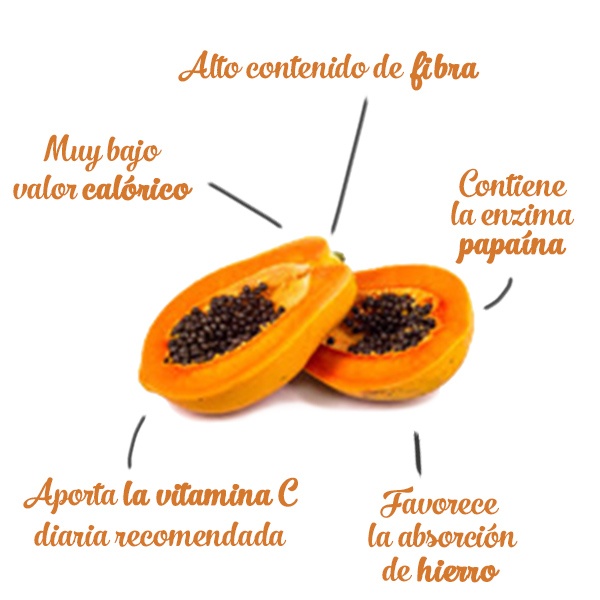 🌟 ¡Descubre las Sorprendentes Características del Papayo y la Papaya! 🍈