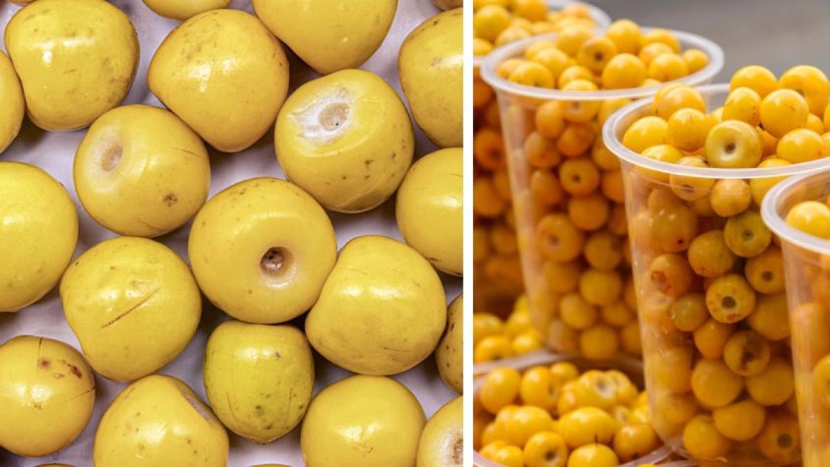 🌟 ¡Descubre los Sorprendentes Beneficios de Comer Nanche! 🍒