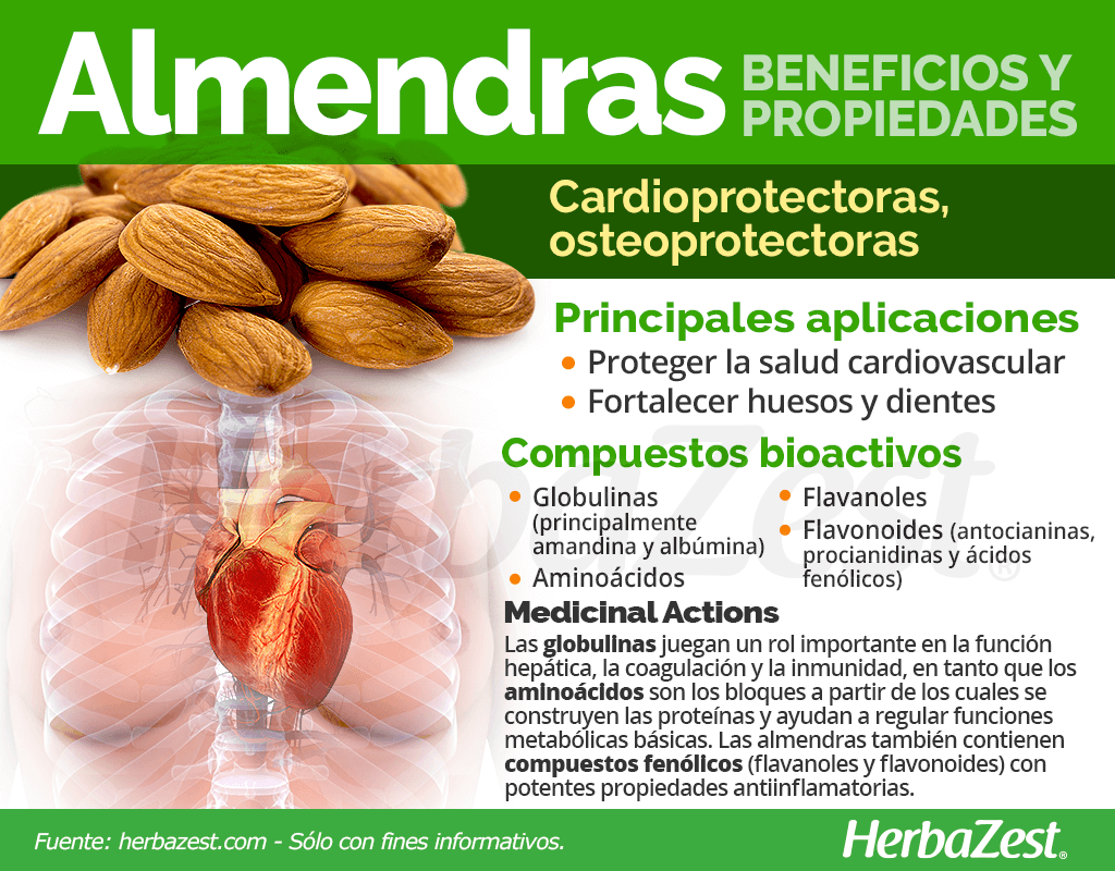 🌰 ¡Descubre el Poder de las Almendras y sus Semillas en la Industria! 🍽️