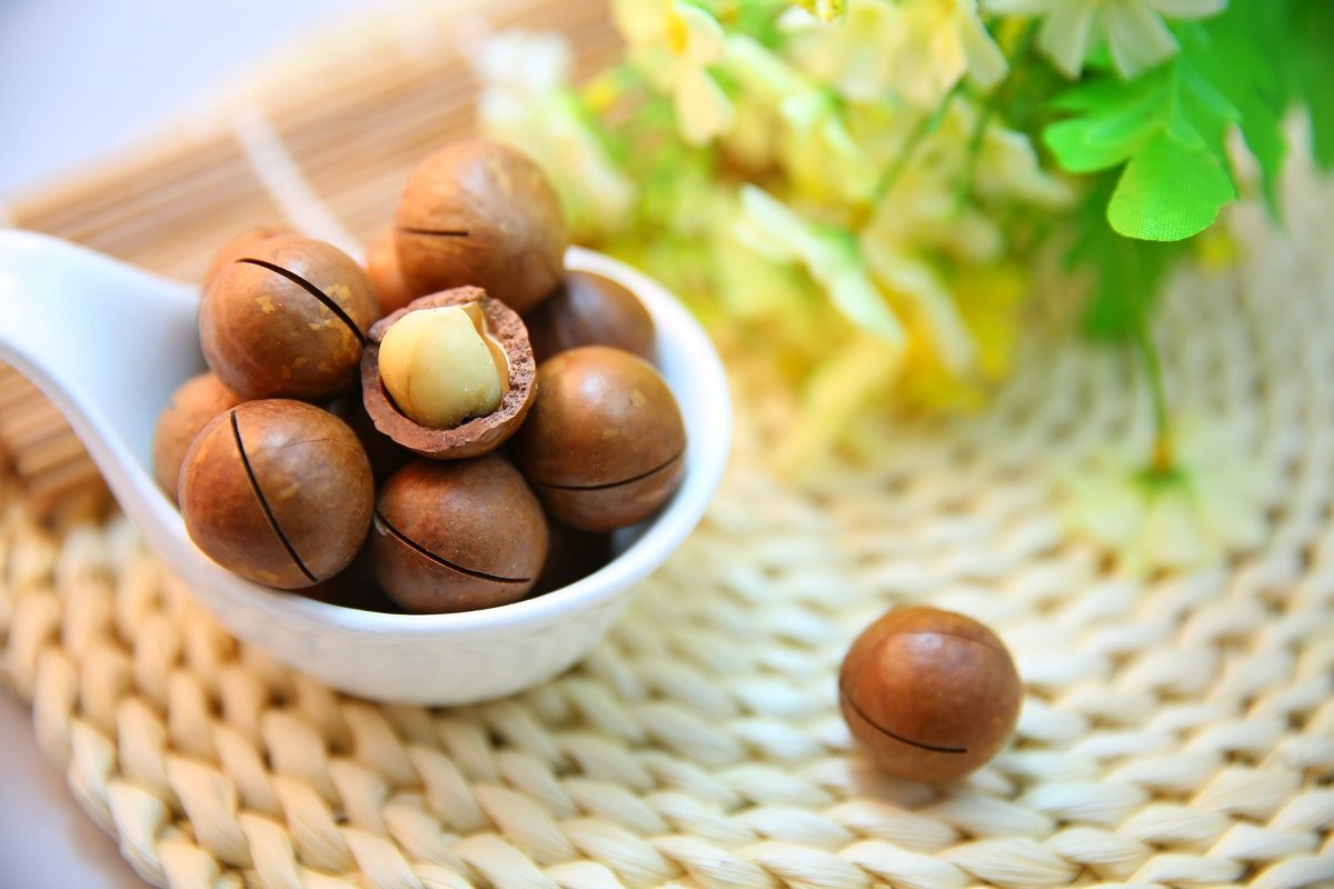 🌰 ¡Descubre el Poder Oculto! Aprovechamiento de la Cáscara de Macadamia
