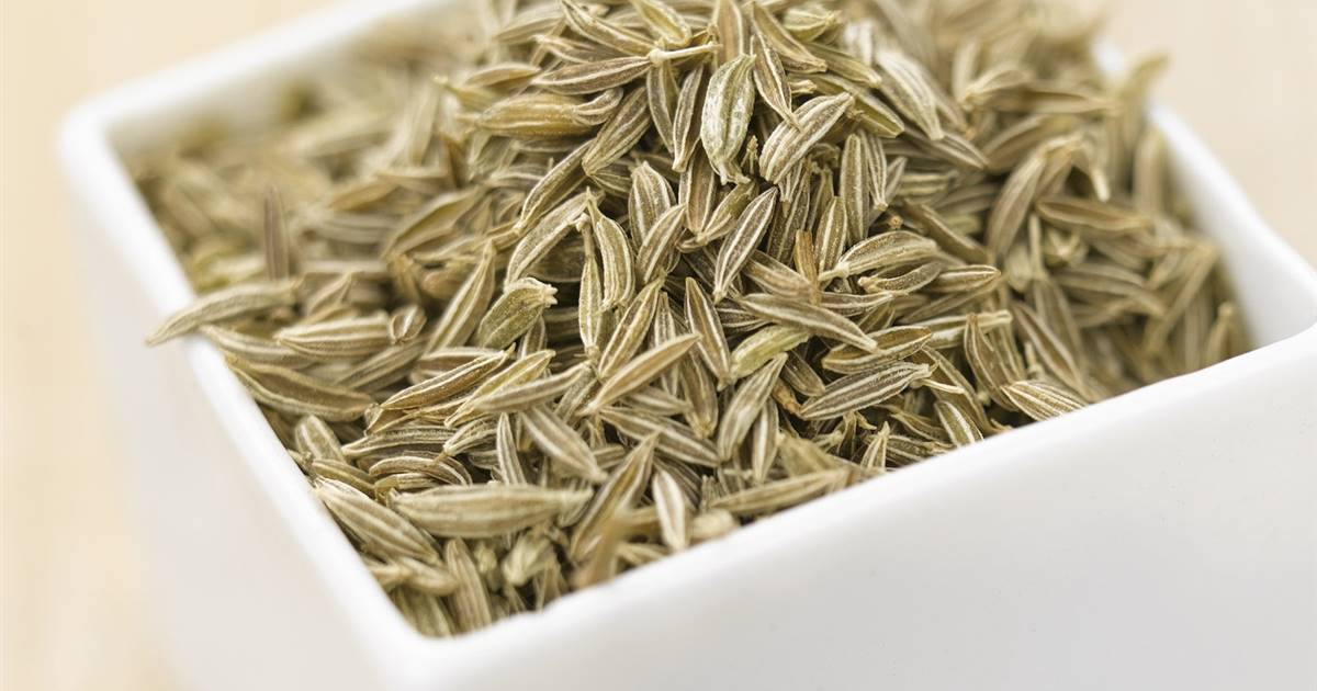 🌱 ¡Alerta de Salud! Comino: Efectos Secundarios en Bebés | Descúbrelo ...