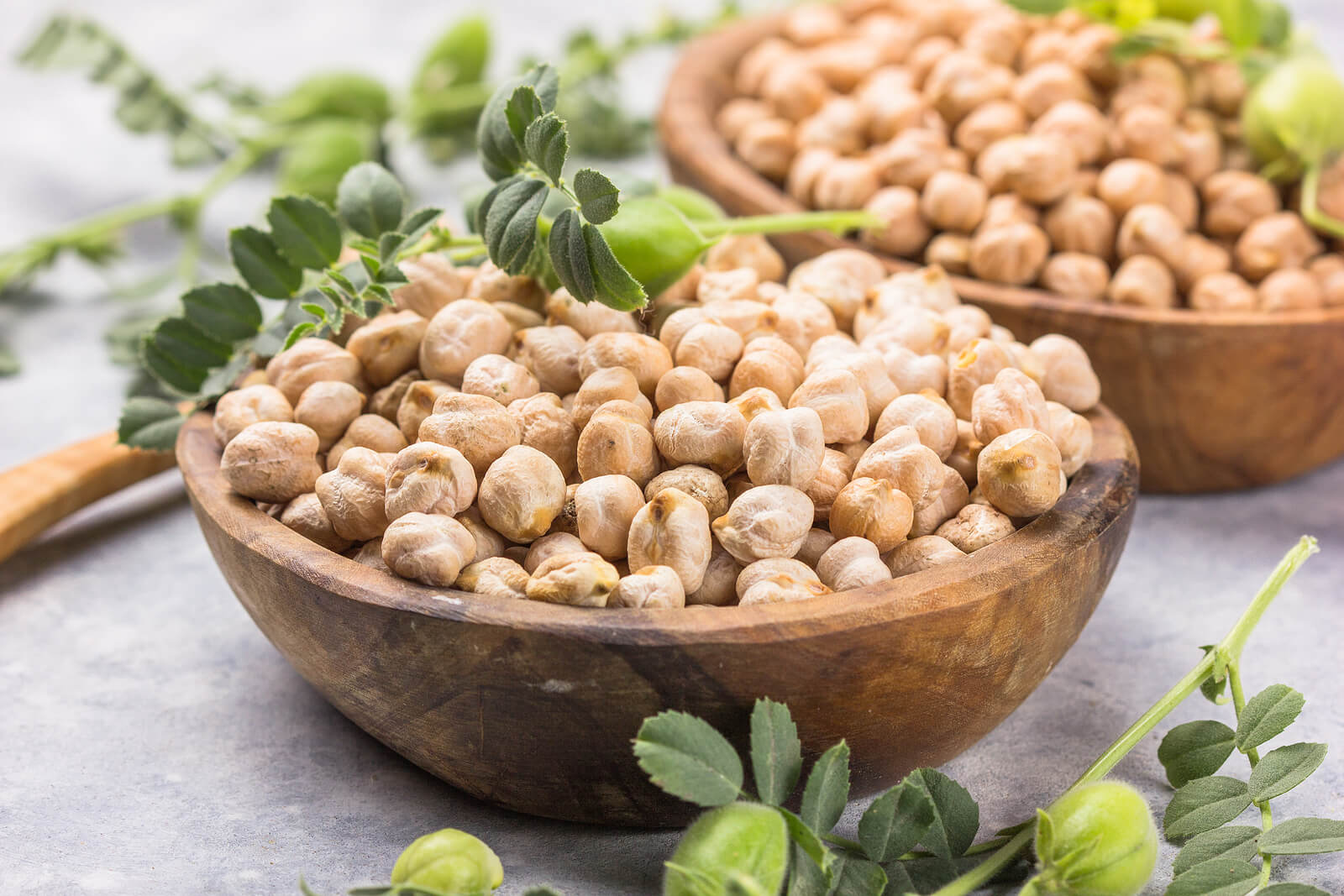 🌱 ¡Bajos en purinas! Descubre si los garbanzos son seguros para ti 🔍💚