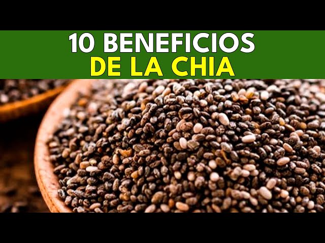 🌱 ¡Descubre cómo la Chía mejora tu salud cognitiva cada día! 🧠