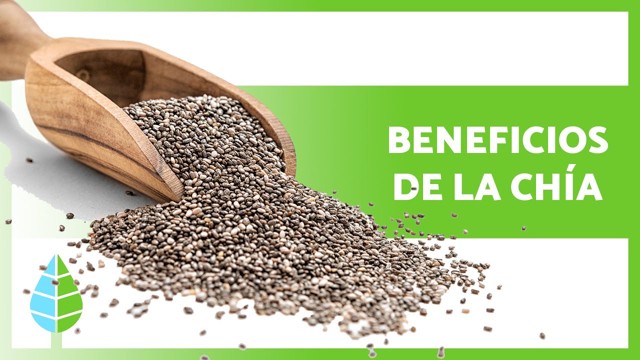 🌱 ¡Descubre cómo la Chía se adapta a cualquier clima! 🌎