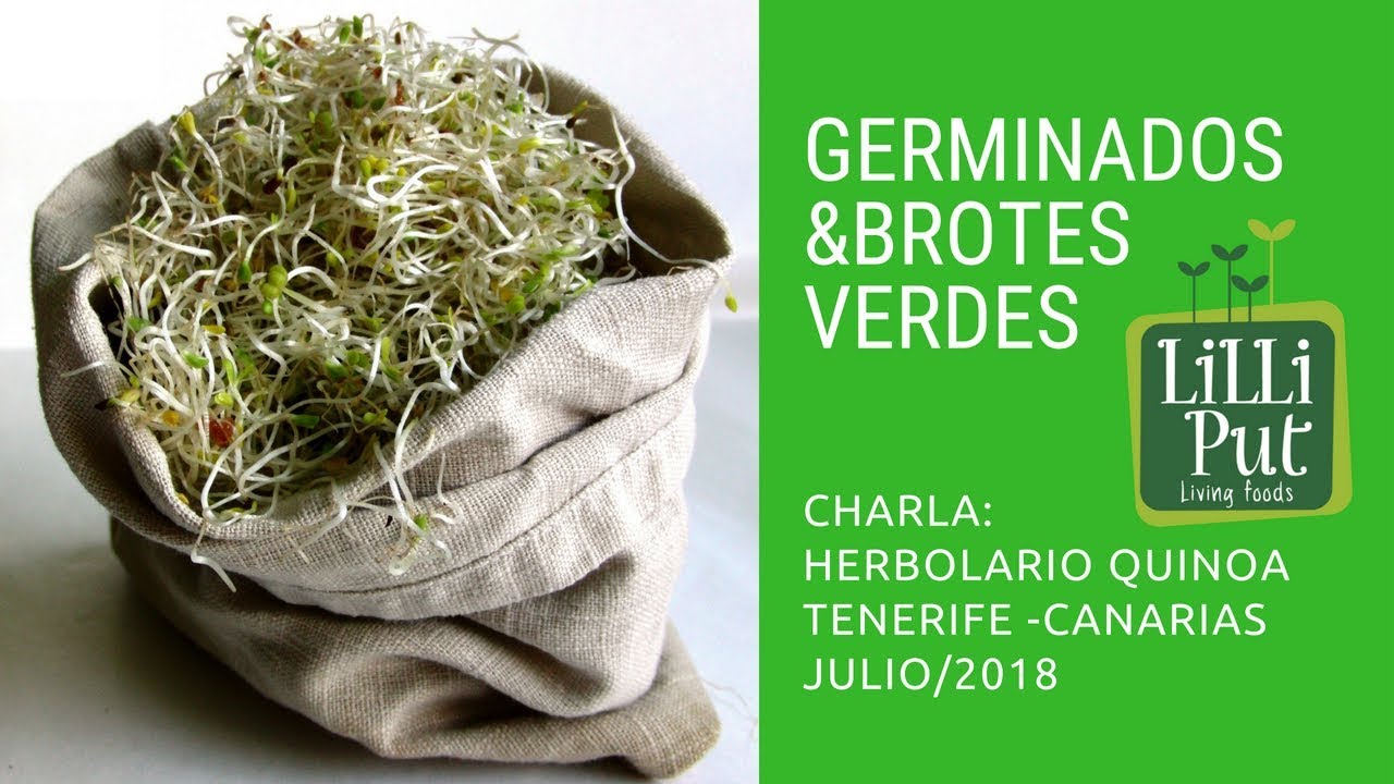 🌱 ¡Descubre cuándo comer brotes para MAXIMIZAR tu salud! 🍽️