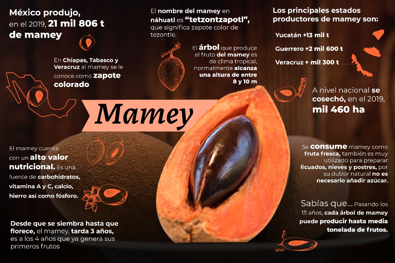 🌱 ¡Descubre el Clima Perfecto y Nutrientes Clave para un Mamey Saludable! 🍈