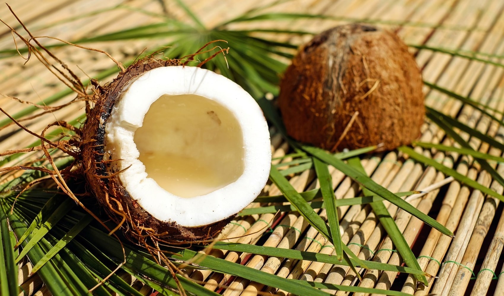 🌱 ¡Descubre el Coco Germinado! El Superalimento Sostenible y Saludable 🍈