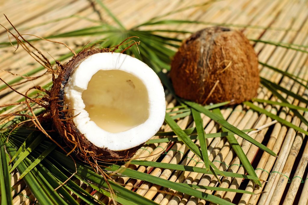 🌱 ¡Descubre el Coco Germinado y su Impacto Ambiental Sorprendente! 🌍