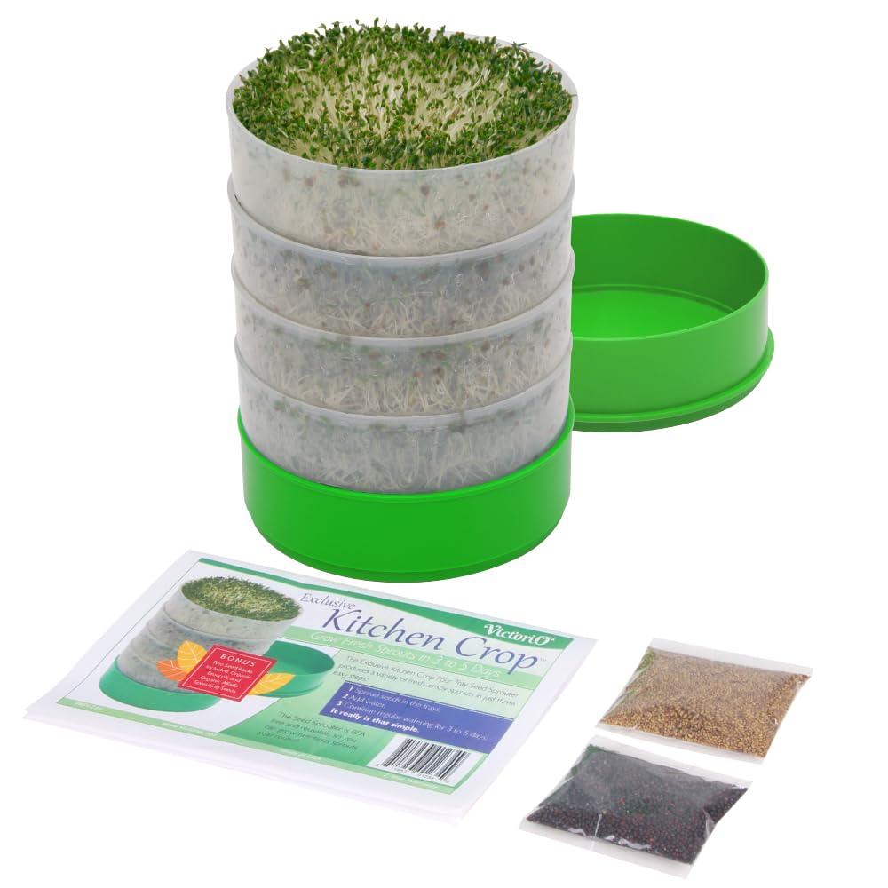 🌱 ¡Descubre el Germinador de Semillas que Ahorra Tiempo y Dinero! 💰