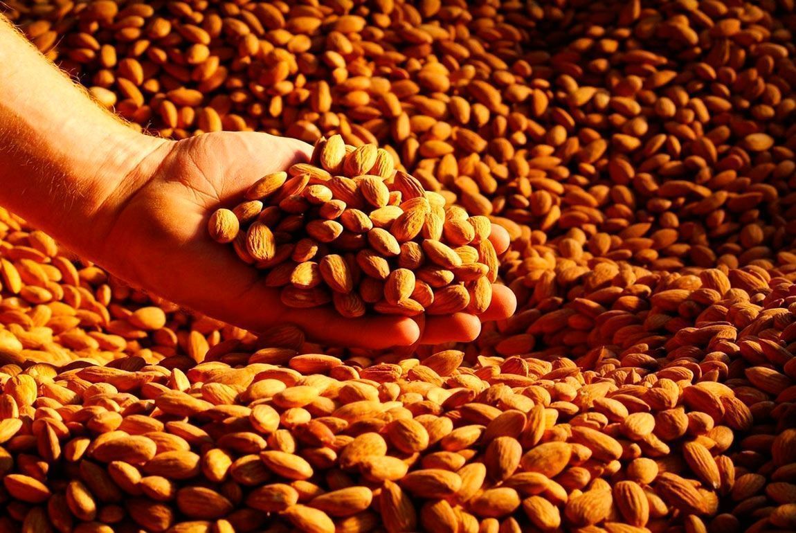 🌱 Descubre el Poder de las Almendras en la Dieta Vegetariana! 🥜