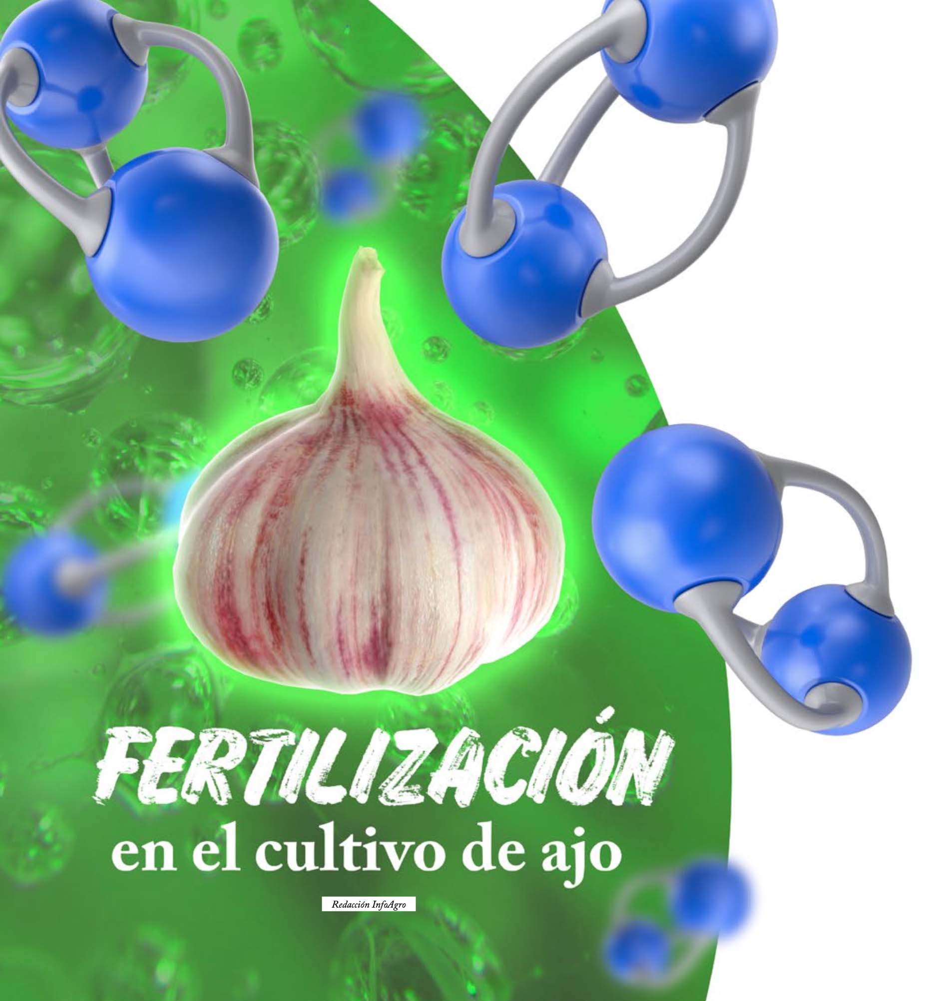 🌱 ¡Descubre el Poder del Ajo en Fertilizantes Líquidos! 💧
