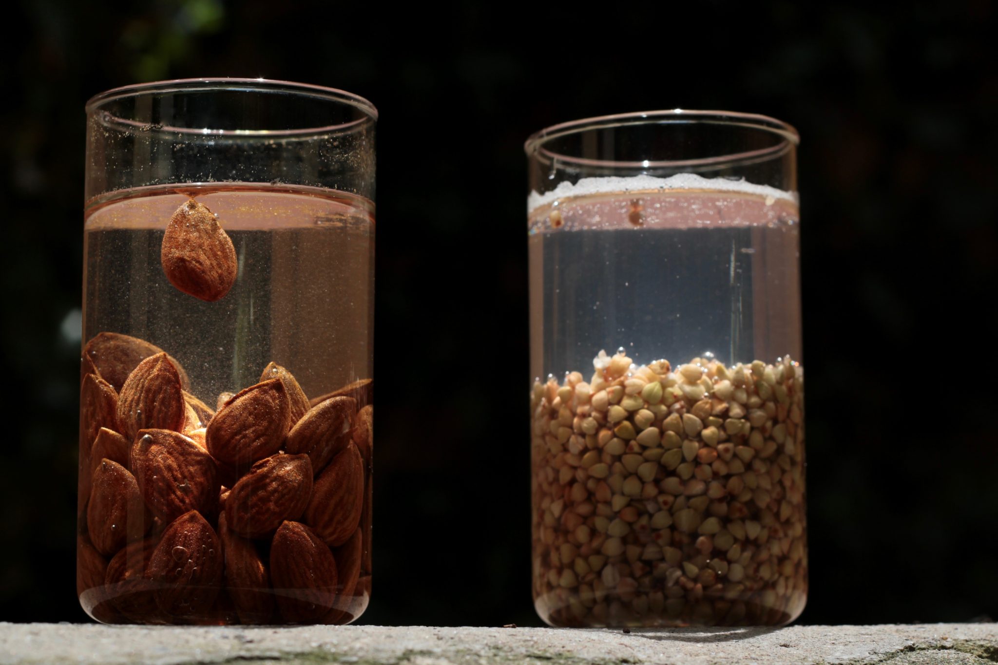 🌱 ¡Descubre el Secreto de la Activación de Semillas de Calabaza en Agua ...