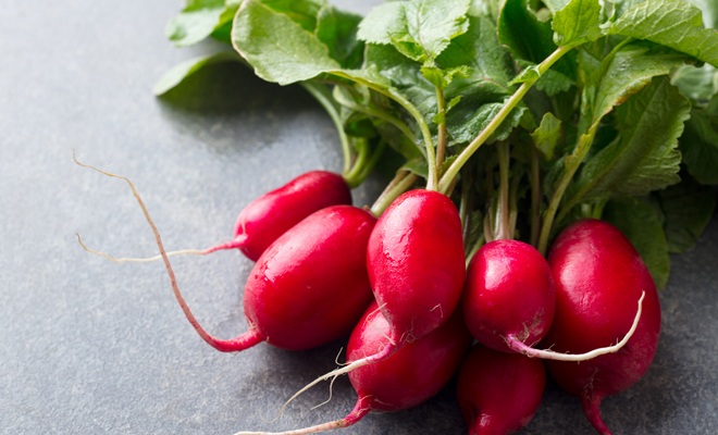 🌱 ¡Descubre el Secreto del Almacenamiento de Rábanos! 🥕 ¡Fácil y Rápido!